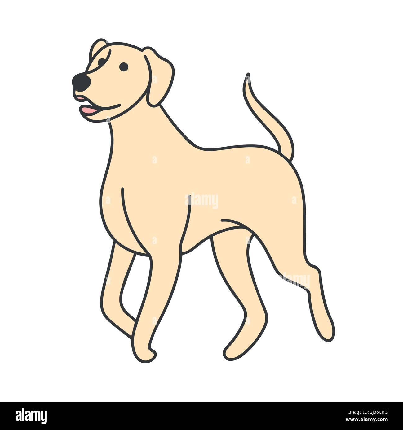 Labrador isolated doodle illustration. Hand drawn pet. Dog vector image ...