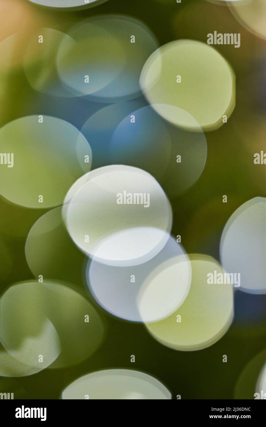 Spot the dots. A background image using the bokeh technique on a field ...