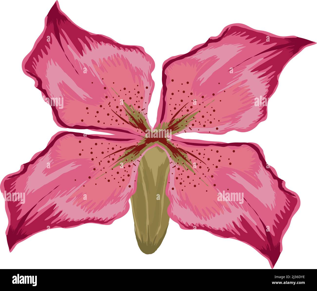 flower decoration icon Stock Vector Image & Art - Alamy