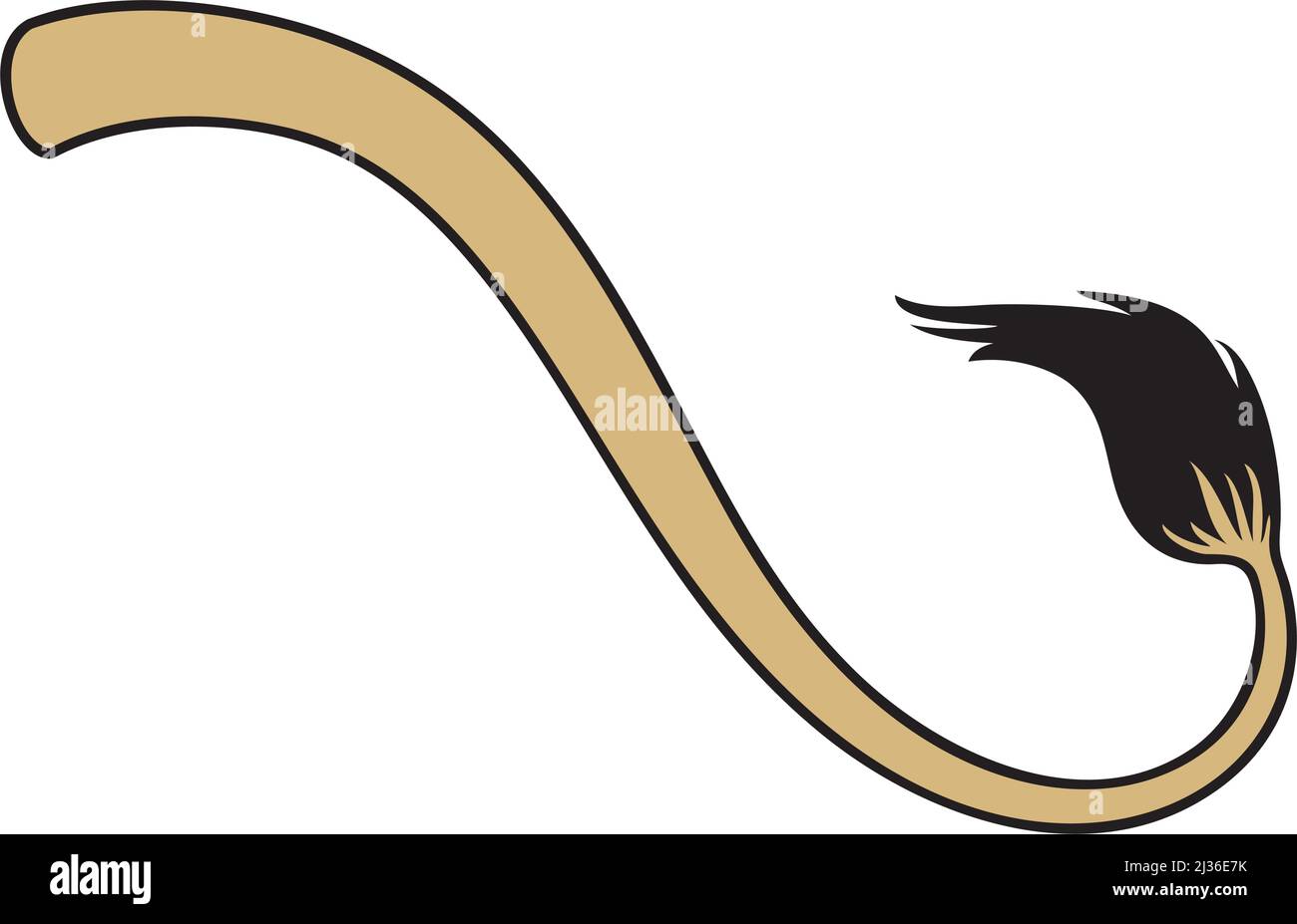 Lion Tail Vector
