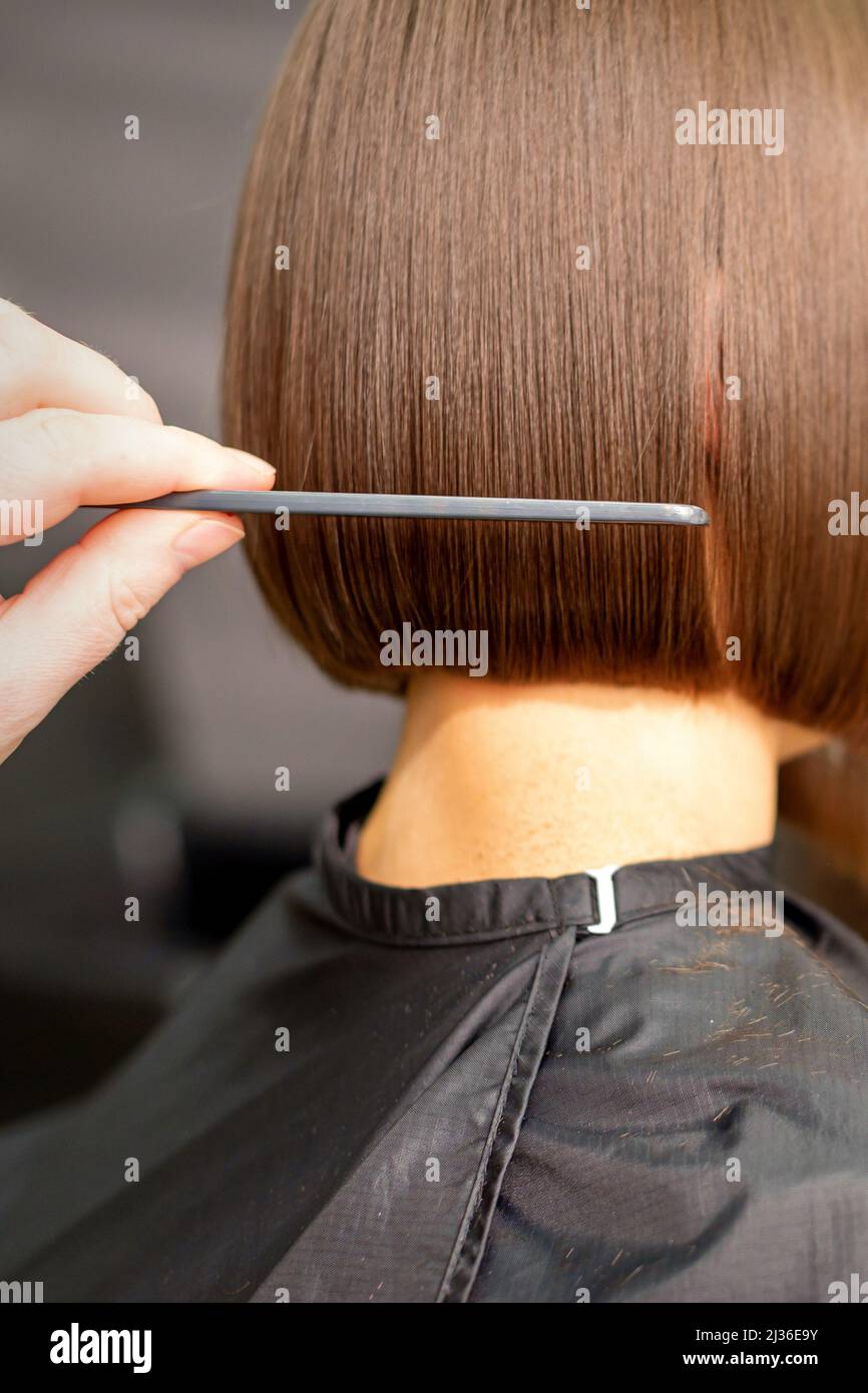A hairdresser is combing the short hair of the brunette female client ...