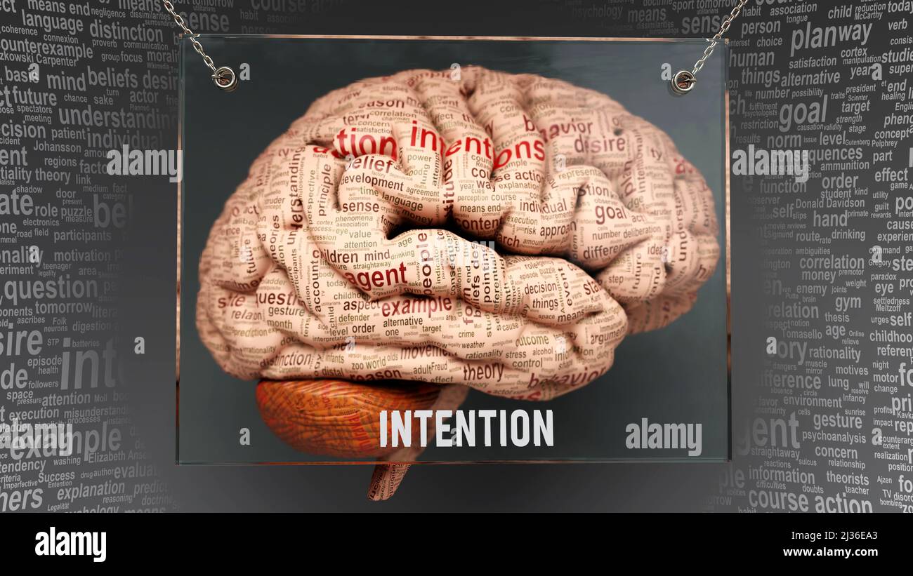 Intention in human brain - dozens of important terms describing ...