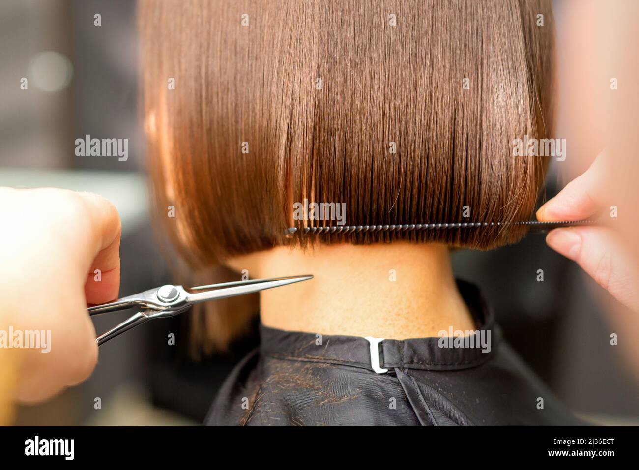 Long Bob Haircut Back View