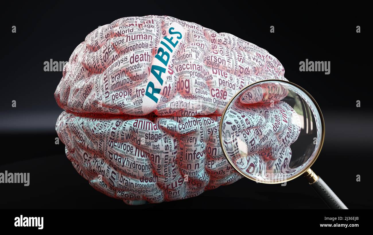 Rabies in human brain, a concept showing hundreds of crucial words ...