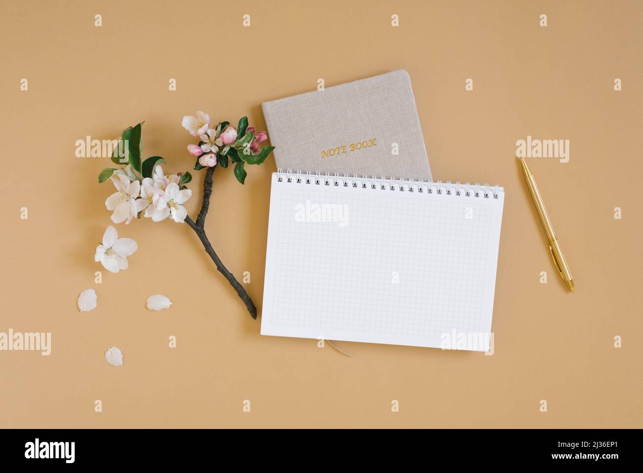 Open notebook with a blank white sheet of paper for copy space, notepad ...