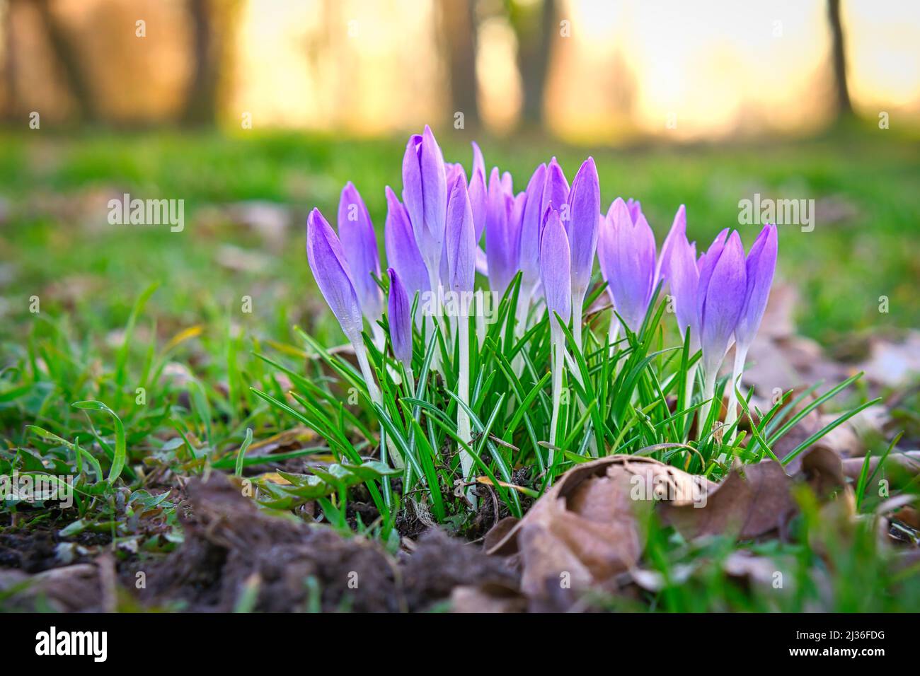 Meek gift hi-res stock photography and images - Alamy