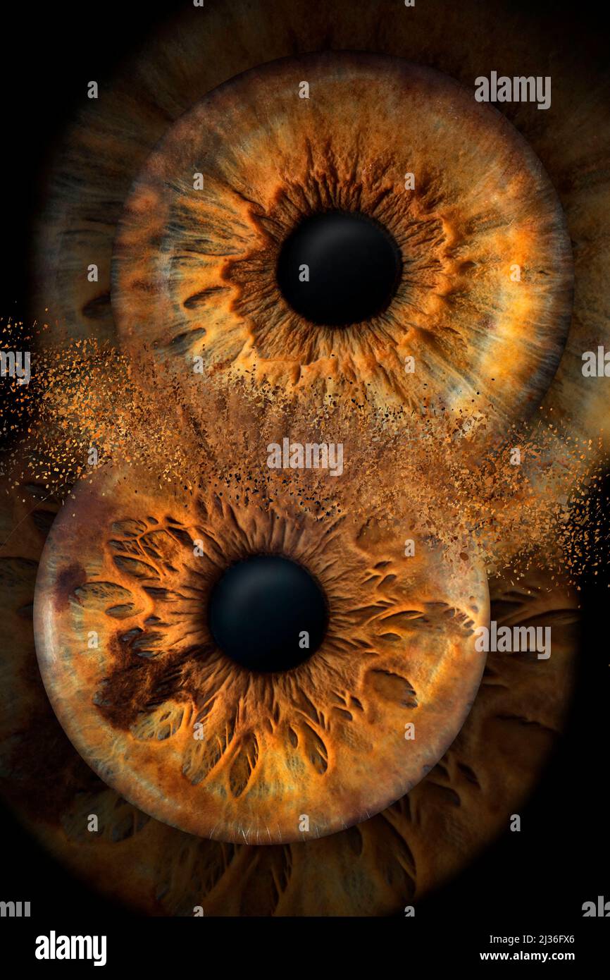 two eyes taken in macro mode, of different persons and same color and ...