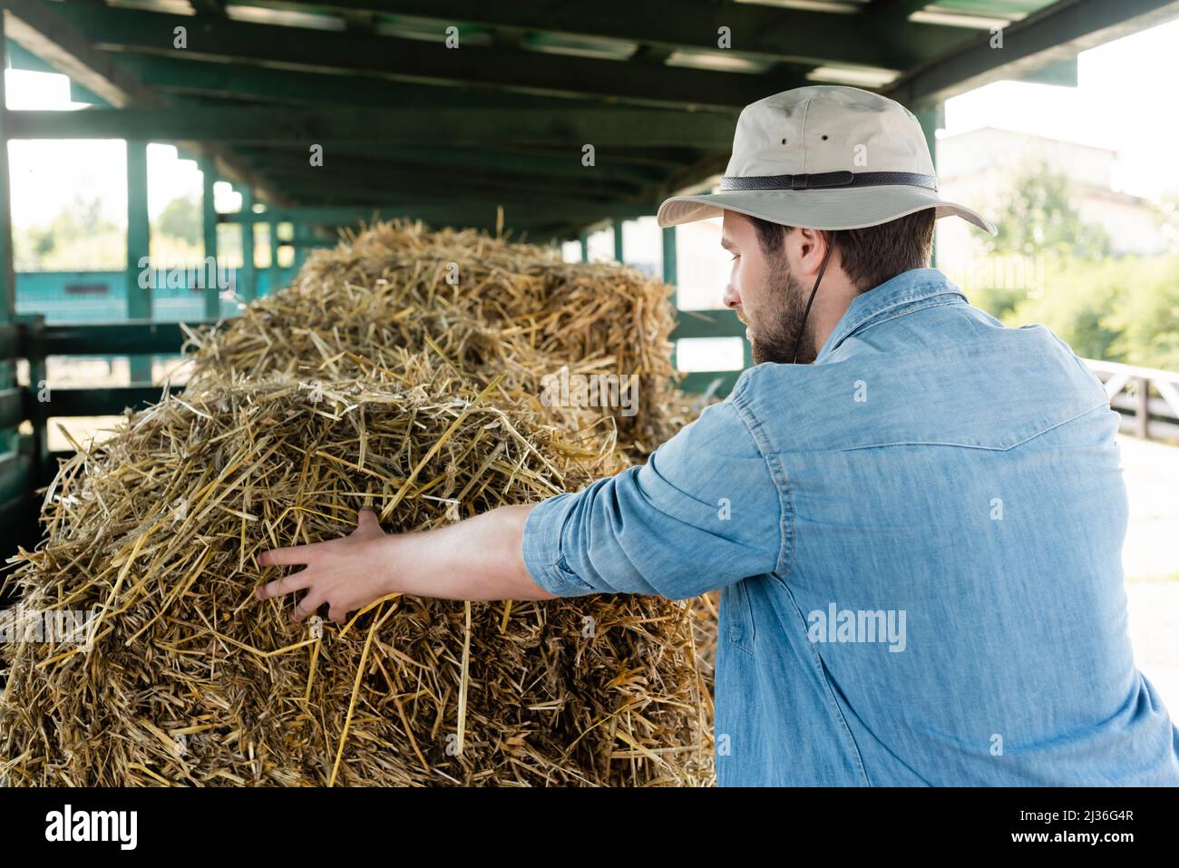 farmer in brim hat stacking hay while working on farm outdoors Stock ...