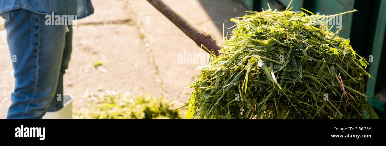 Stacking hay hi-res stock photography and images - Alamy