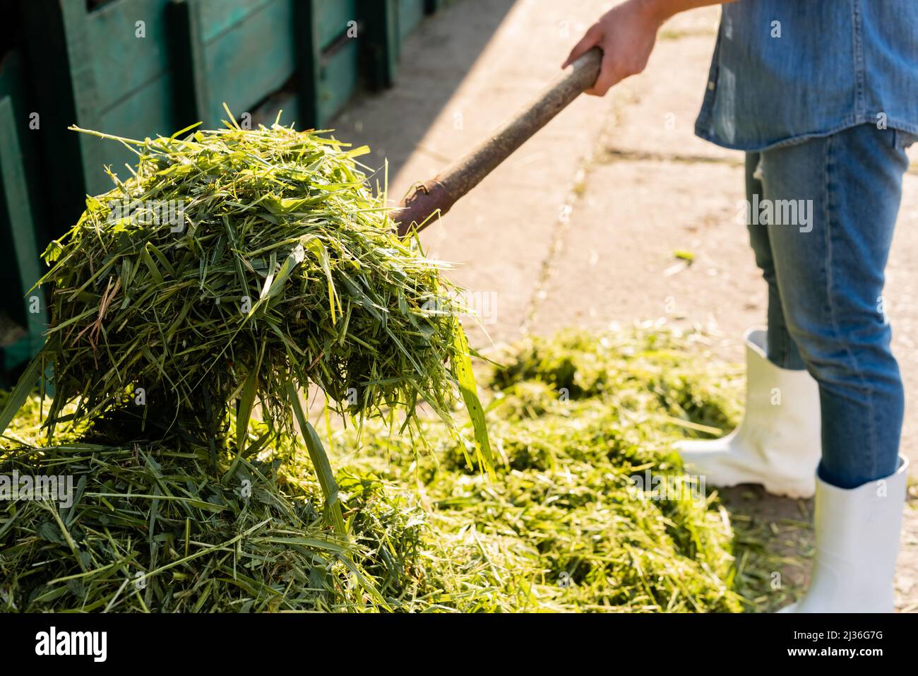 Stacking hay hi-res stock photography and images - Alamy