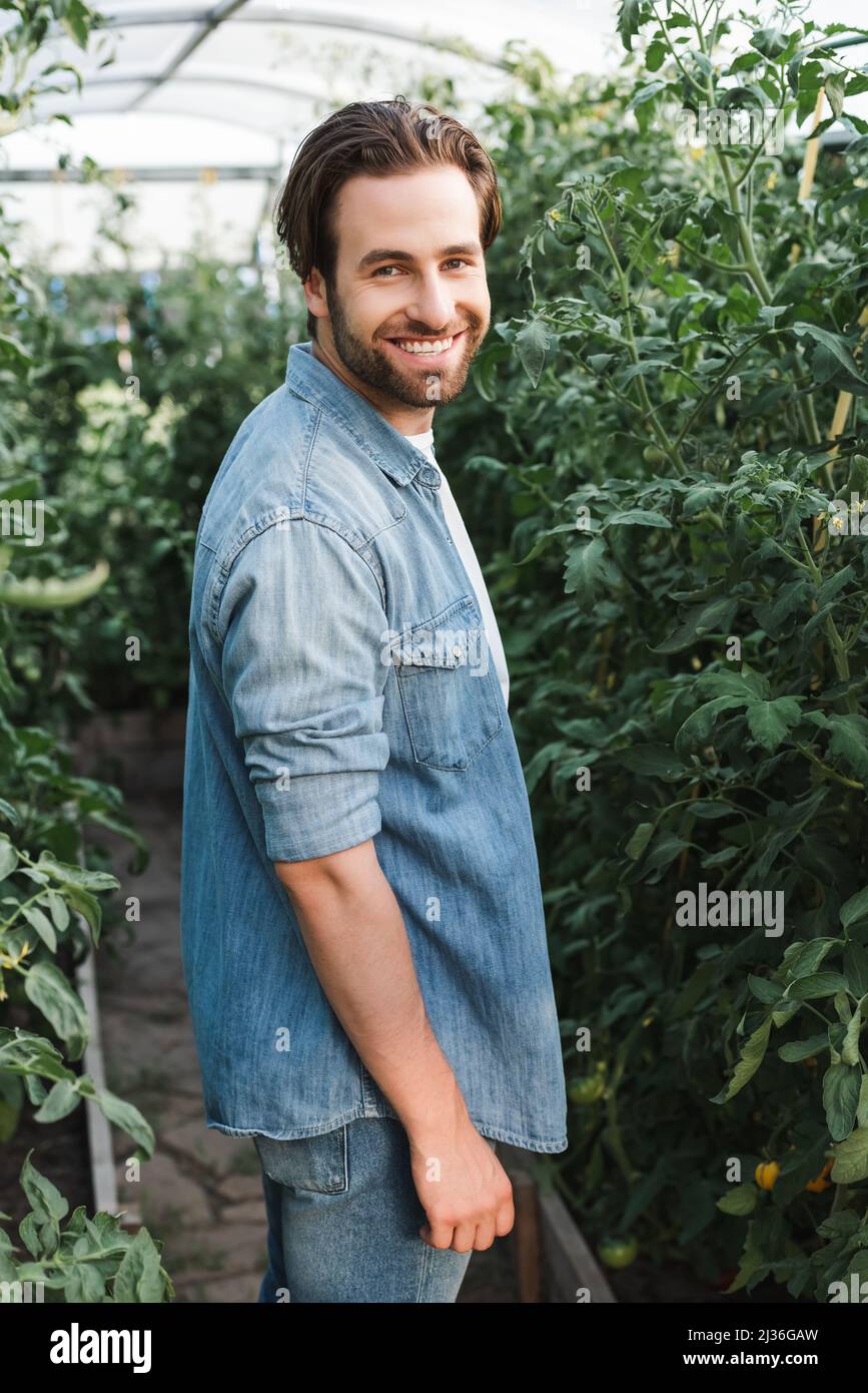 Handsome young farmer in shirt hi-res stock photography and images - Alamy