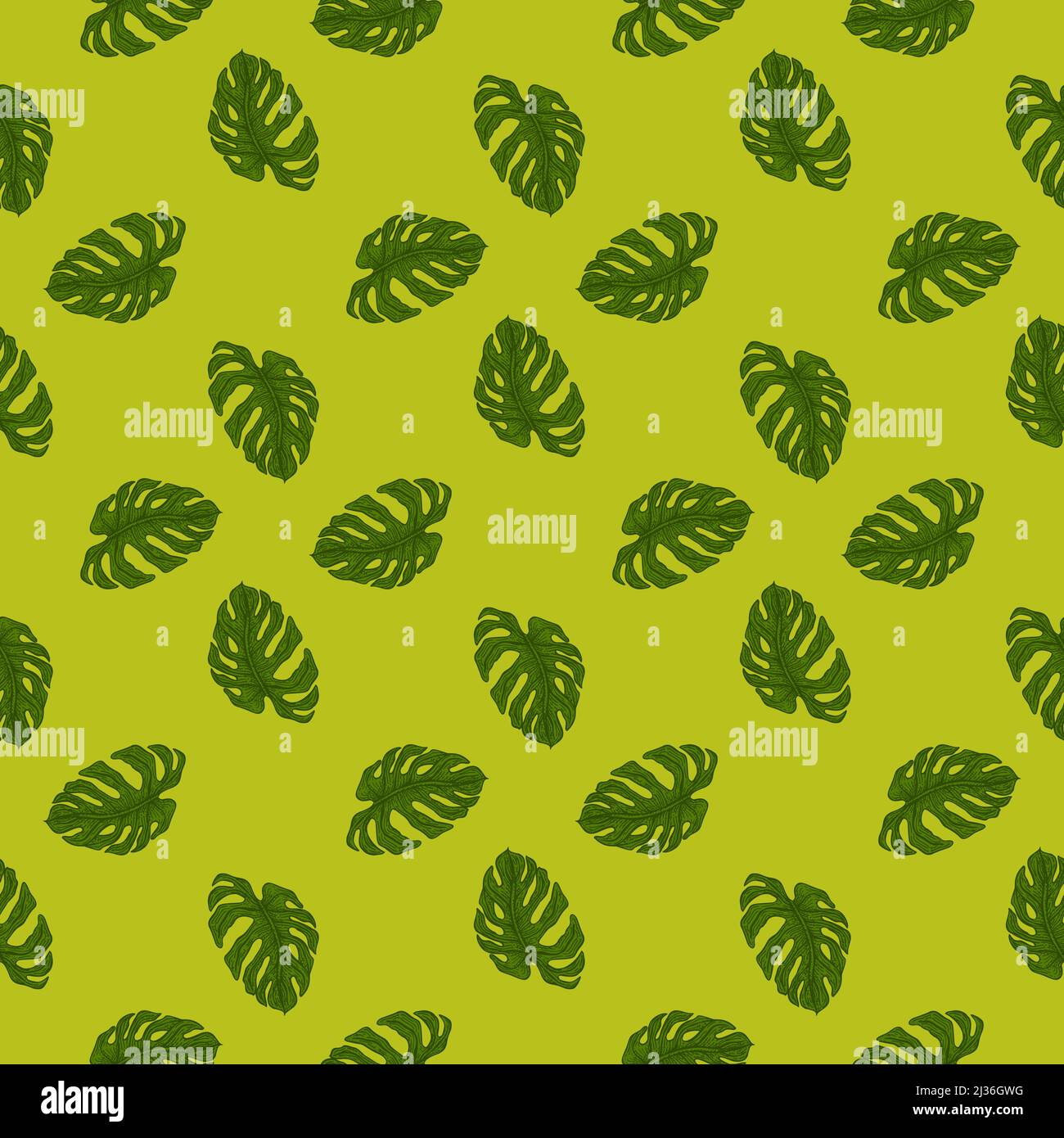 Monstera leaf seamless pattern.Vintage tropical branch in engraving ...