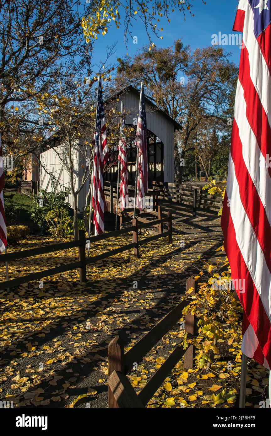 A view of American flag posts stuck in the ground next to a walking ...