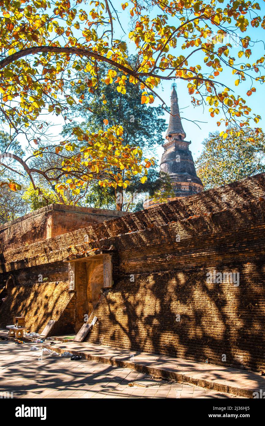 Cafe 39 near Wat Umong underground temple and tunnels in Chiang Mai ...