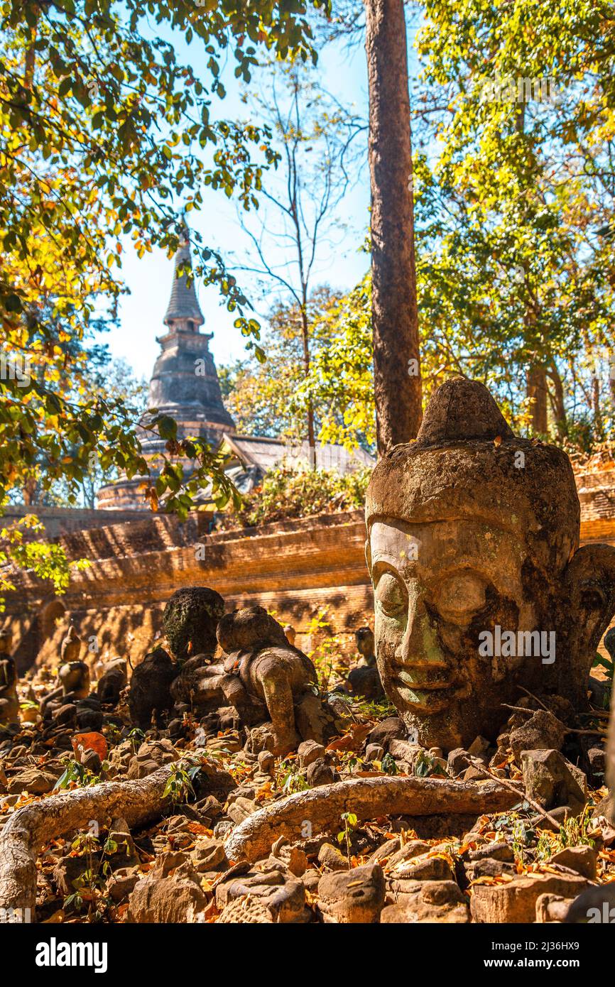 Wat umong park hi-res stock photography and images - Alamy
