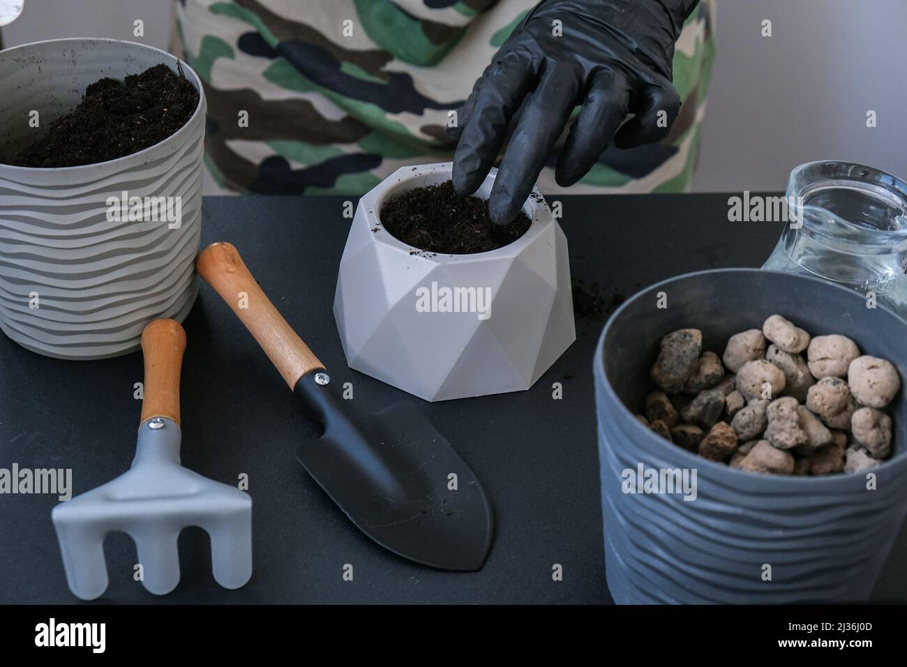 Close-up shot of female hands holding cactus. Home garden concept ...