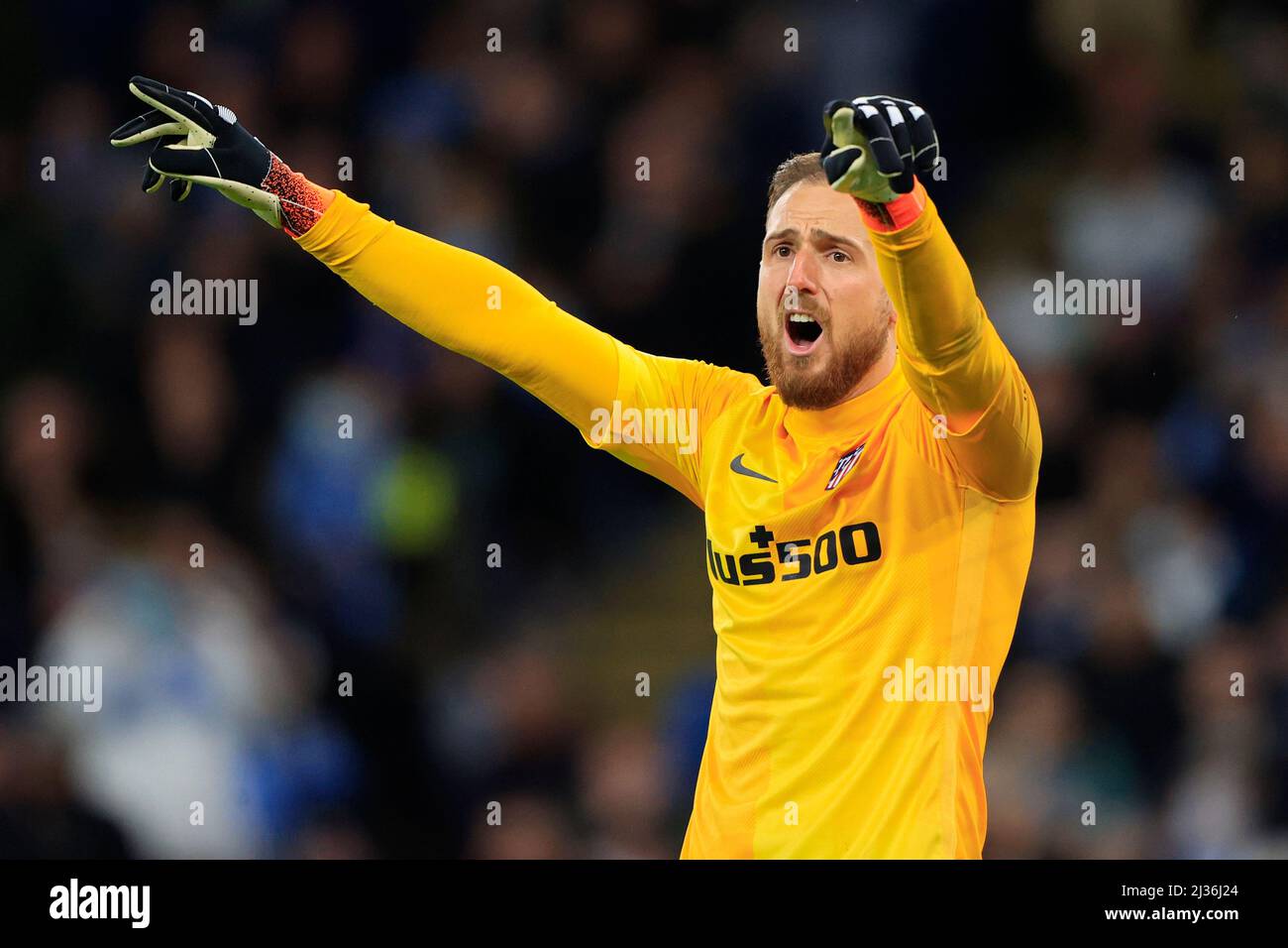 Jan oblak hi-res stock photography and images - Alamy