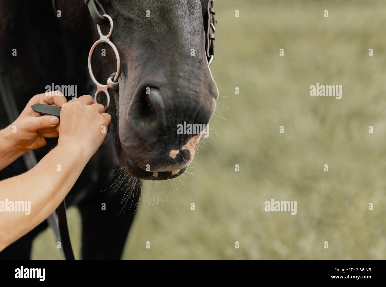 Attaching detaching hi-res stock photography and images - Alamy