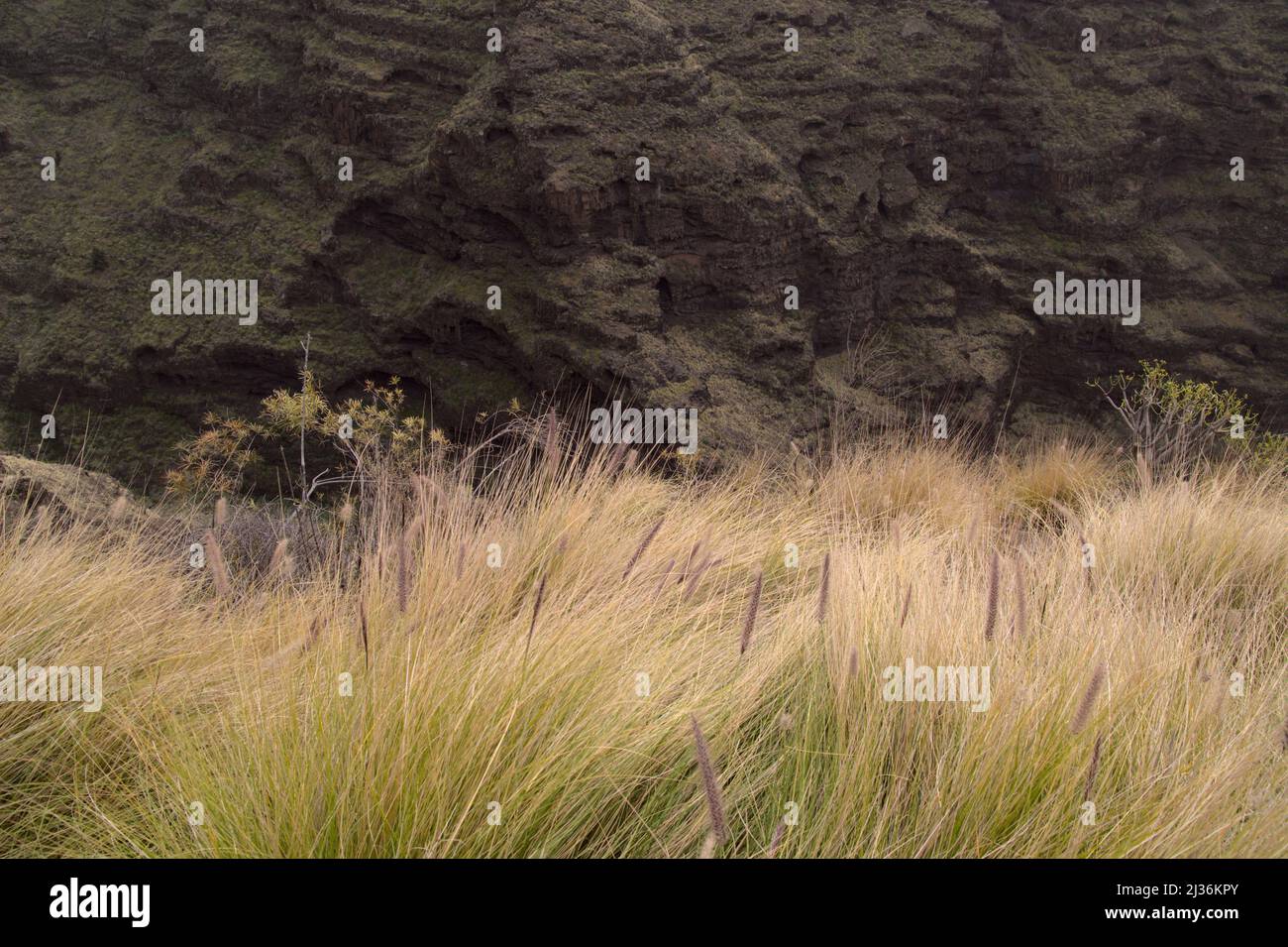 La Palma, landscape of western coastal part of the island, Tijarafe ...