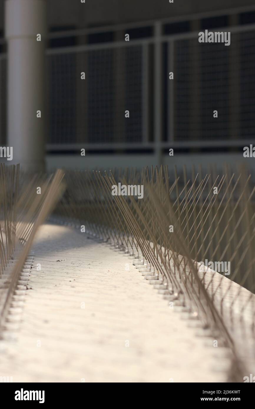 Sharp bird control wires sticking out in a dangerous fashion Stock ...