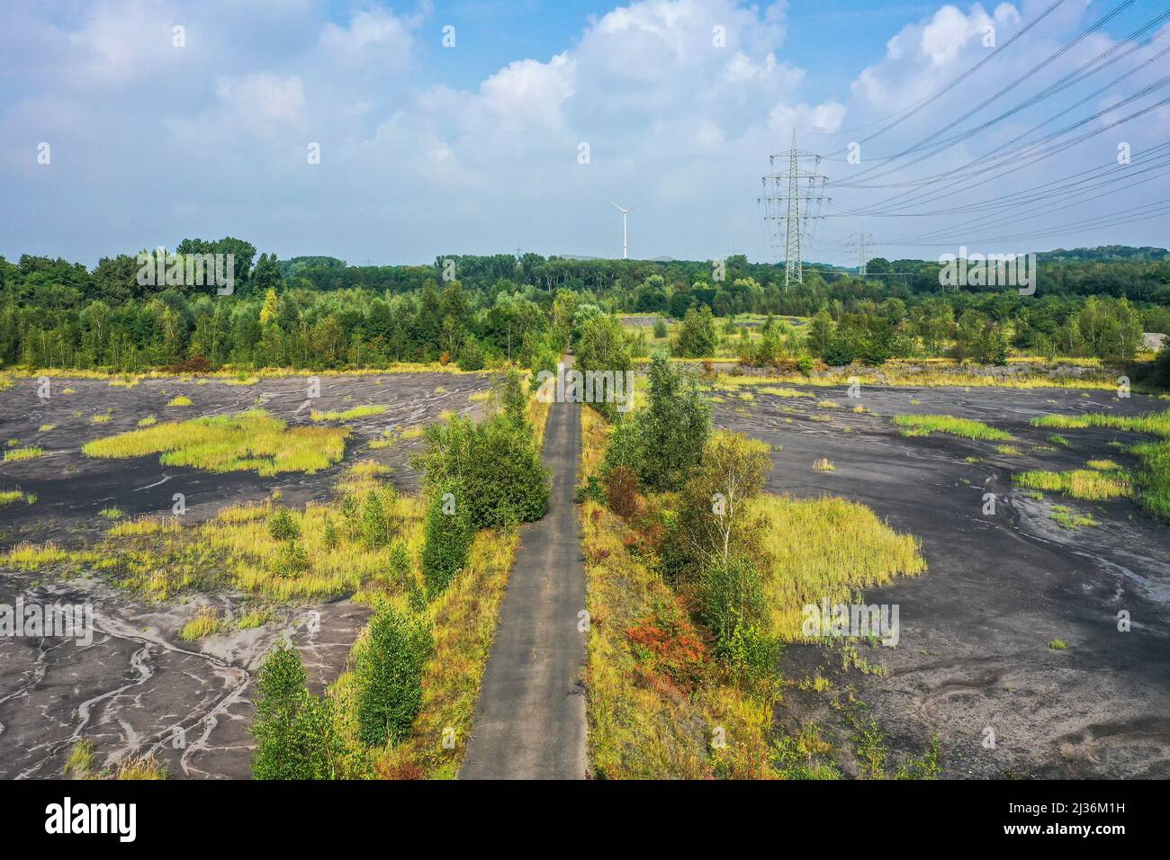 Bottrop, North Rhine-Westphalia, Germany - FREIHEIT EMSCHER urban ...