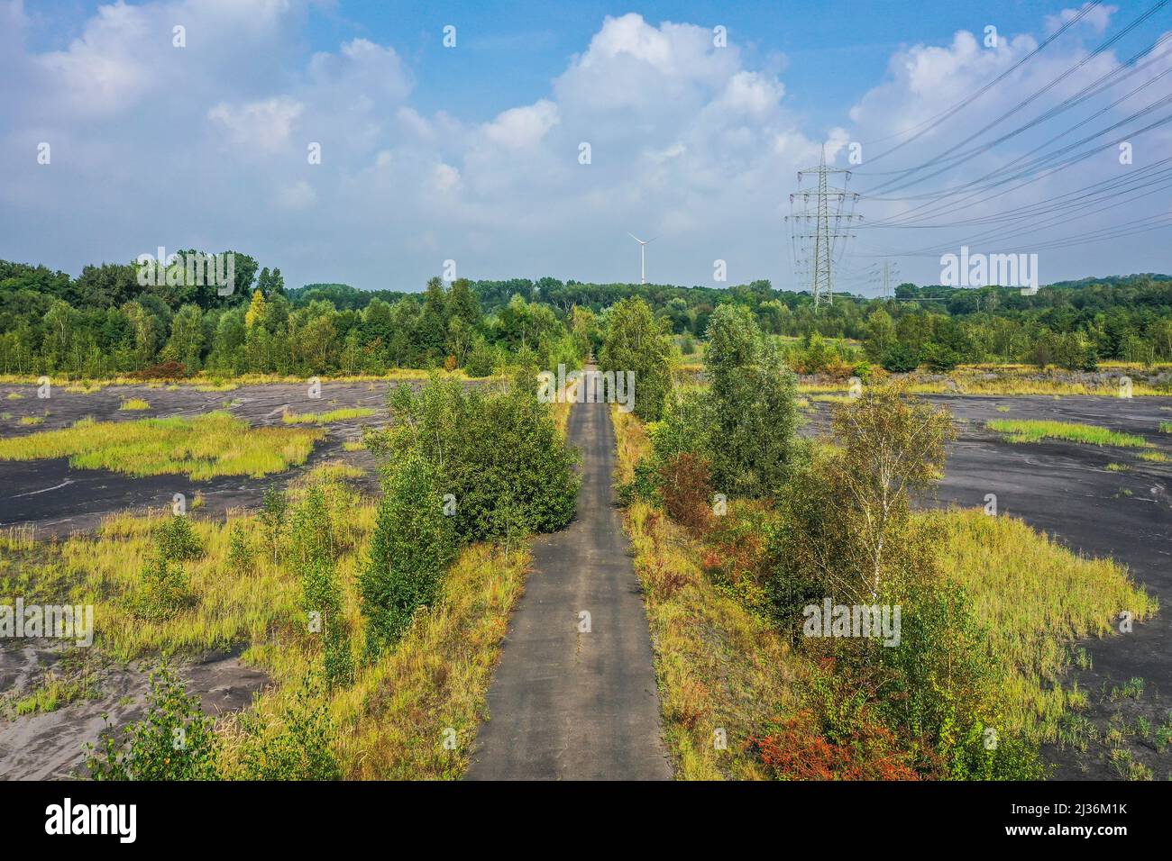 Bottrop, North Rhine-Westphalia, Germany - FREIHEIT EMSCHER urban ...