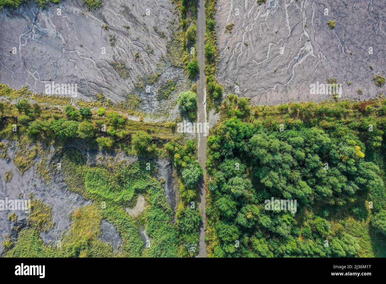 Bottrop, North Rhine-Westphalia, Germany - FREIHEIT EMSCHER urban ...