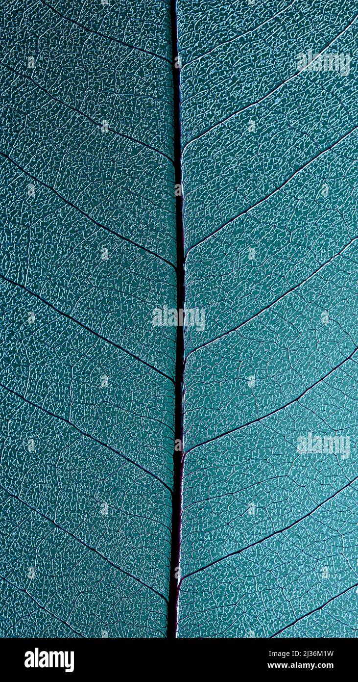 Biophilic design element hi-res stock photography and images - Alamy