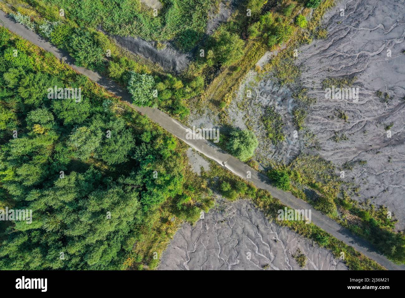 Bottrop, North Rhine-Westphalia, Germany - FREIHEIT EMSCHER urban ...