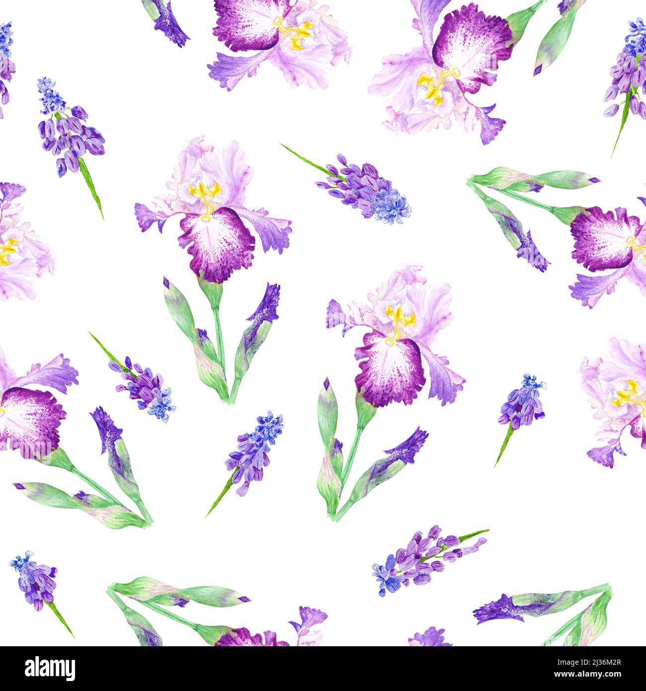 Romantic floral lavender purple pattern Stock Photo - Alamy