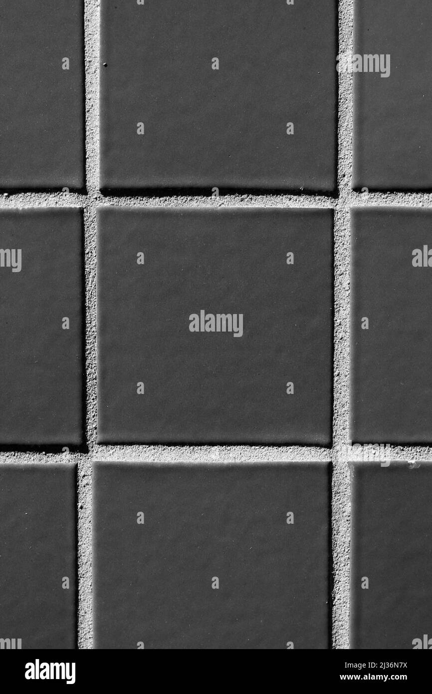 A square tile grid with white perpendicular lines in black and white ...