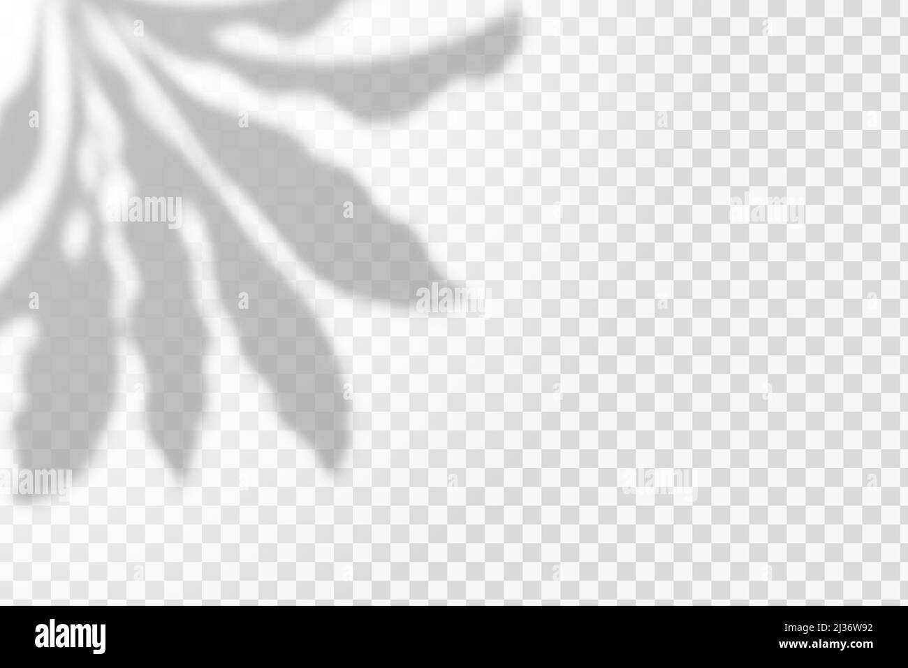 The effect of overlaying shadows. Natural light layout.Realistic shadow ...