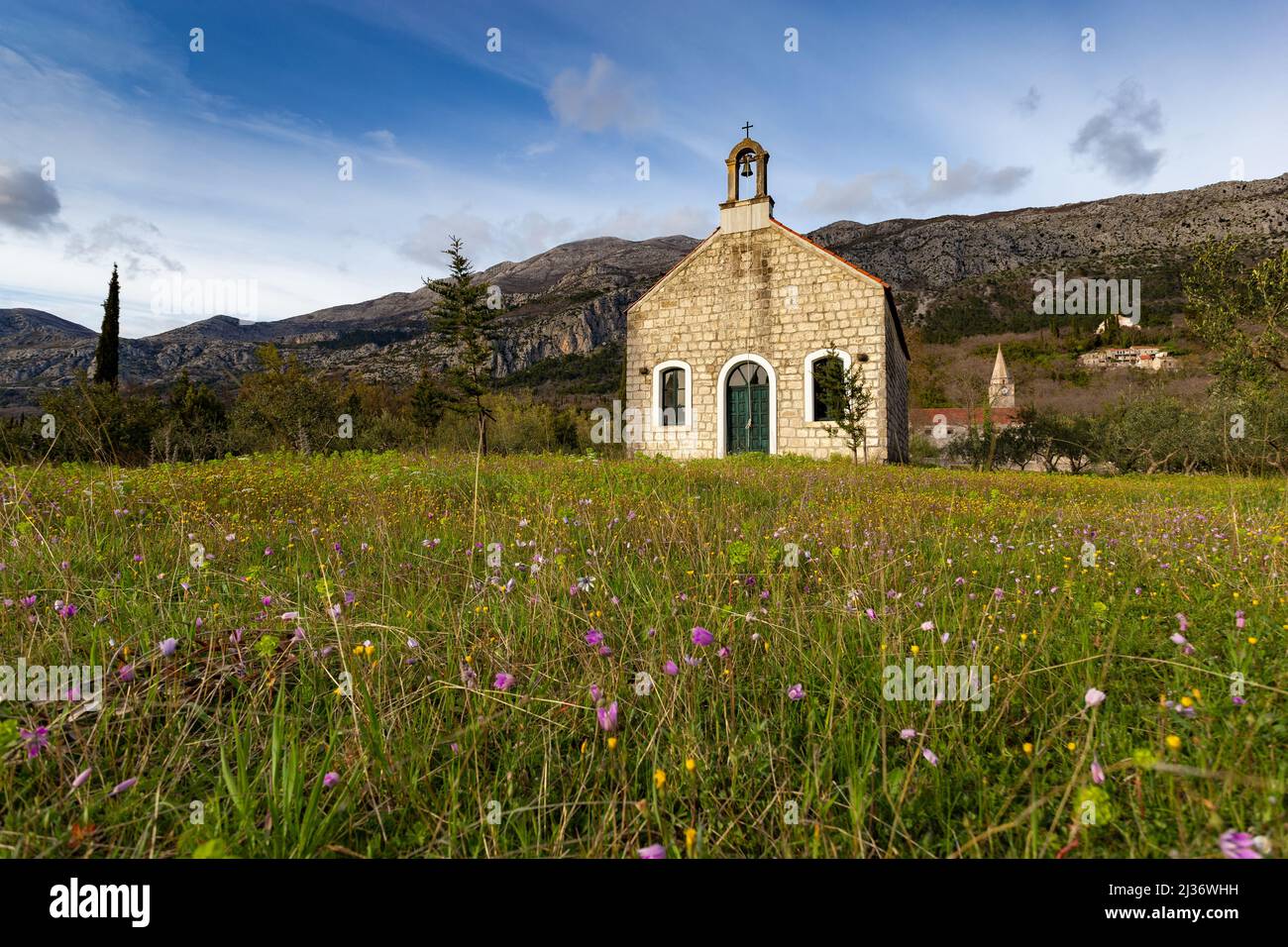 Old church of the Most Holy Trinity in village Pridvorje. Konavle ...
