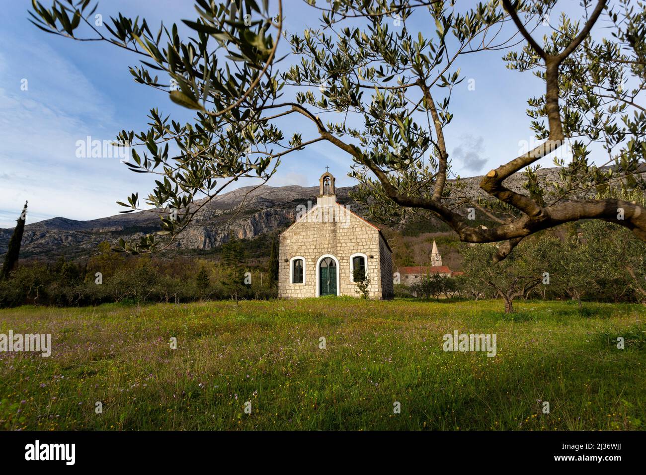 Old church of the Most Holy Trinity in village Pridvorje. Konavle ...