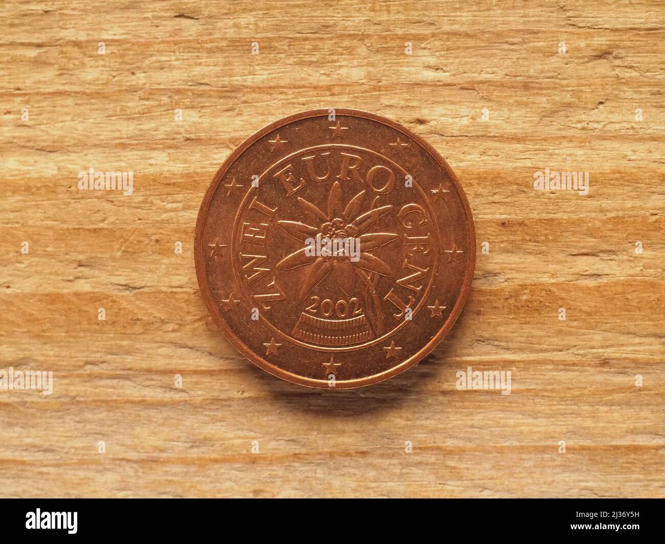 one cent coin, Austria side showing Edelweiss alpine flower, currency ...
