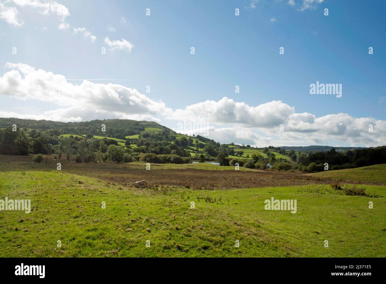 Lake District Landscape near High Wray near Hawkshead the Lake District ...