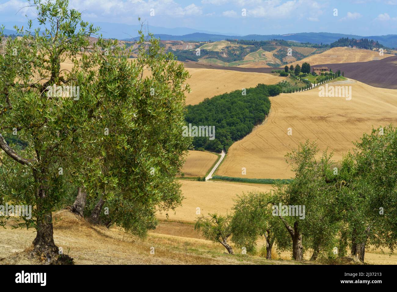 Rural landscape in Val d Orcia, Tuscany, Italy, at summer Stock Photo ...