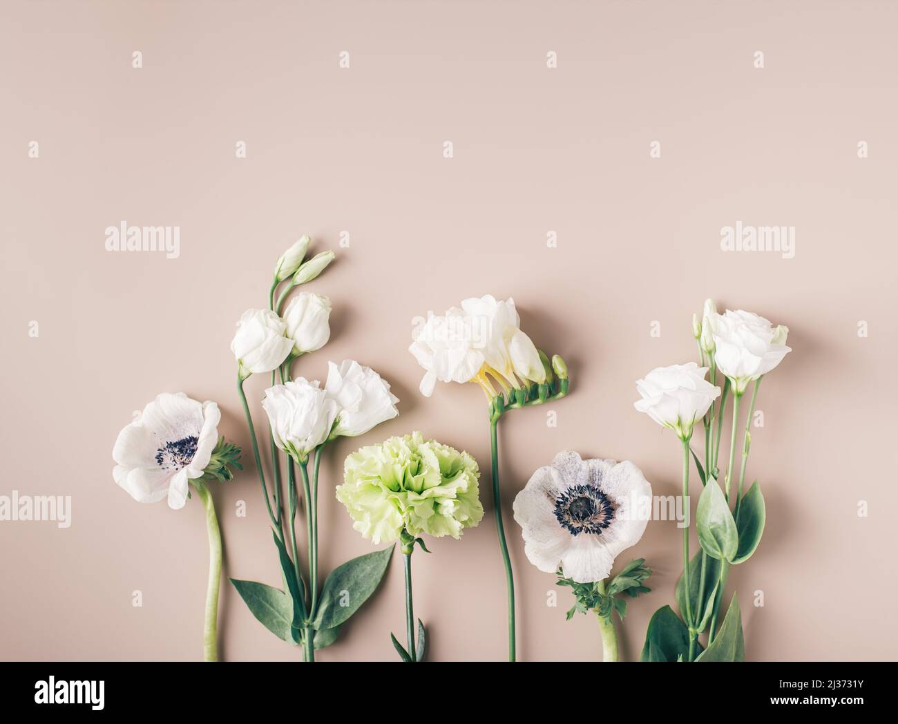 creative flower background, pattern Stock Photo - Alamy