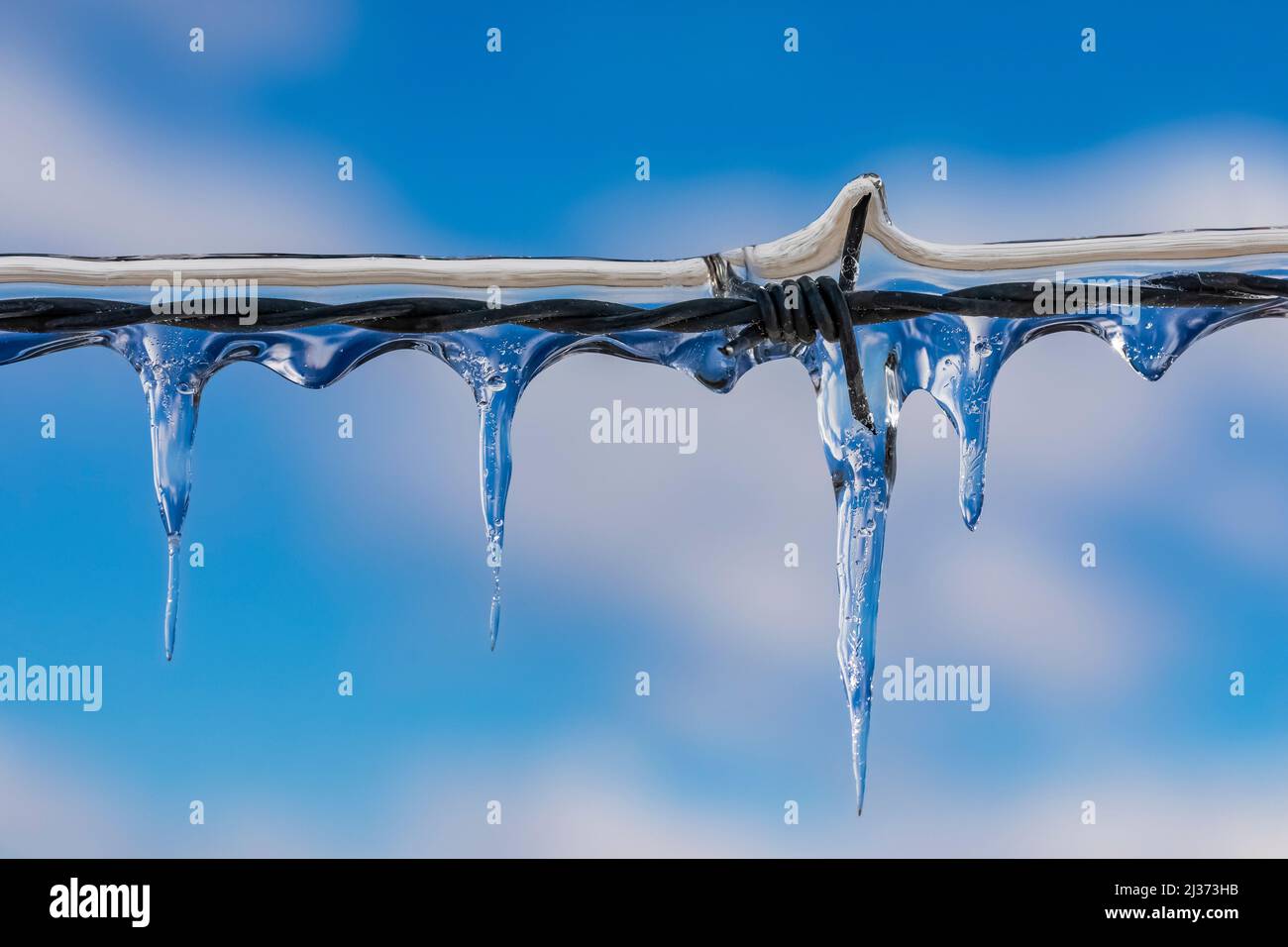 Dripping in ice hi-res stock photography and images - Alamy
