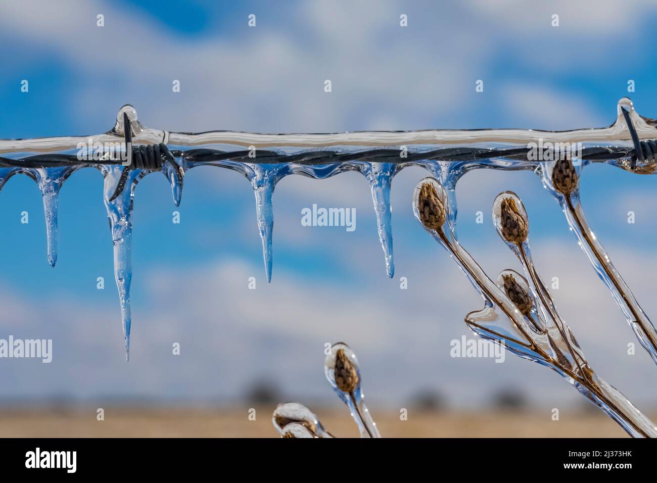 Barbed wire and ice photo hi-res stock photography and images - Alamy