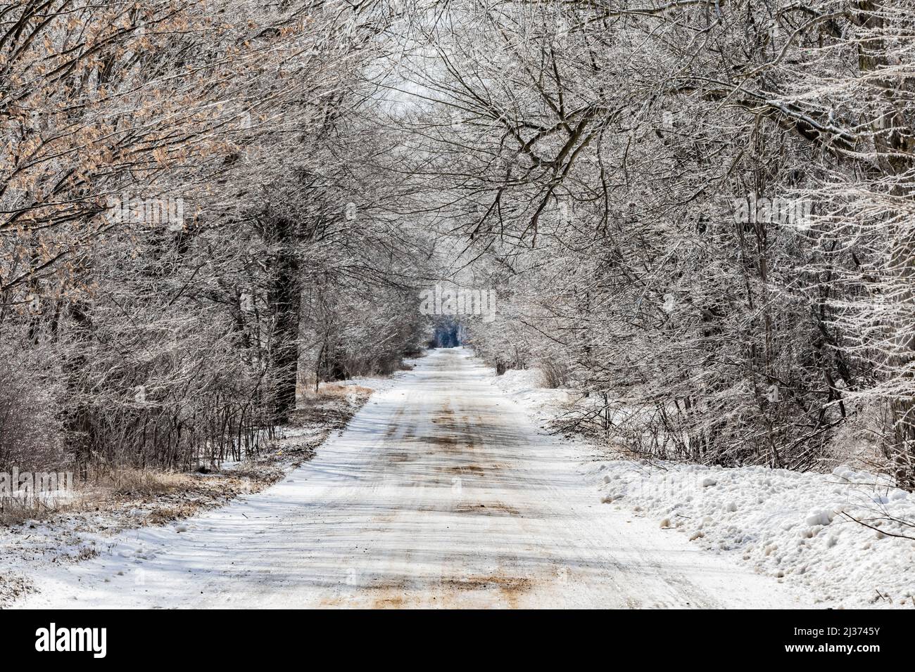 Country road after rain storm hi-res stock photography and images - Alamy Country road after rain storm hi-res stock photography and images - Alamy