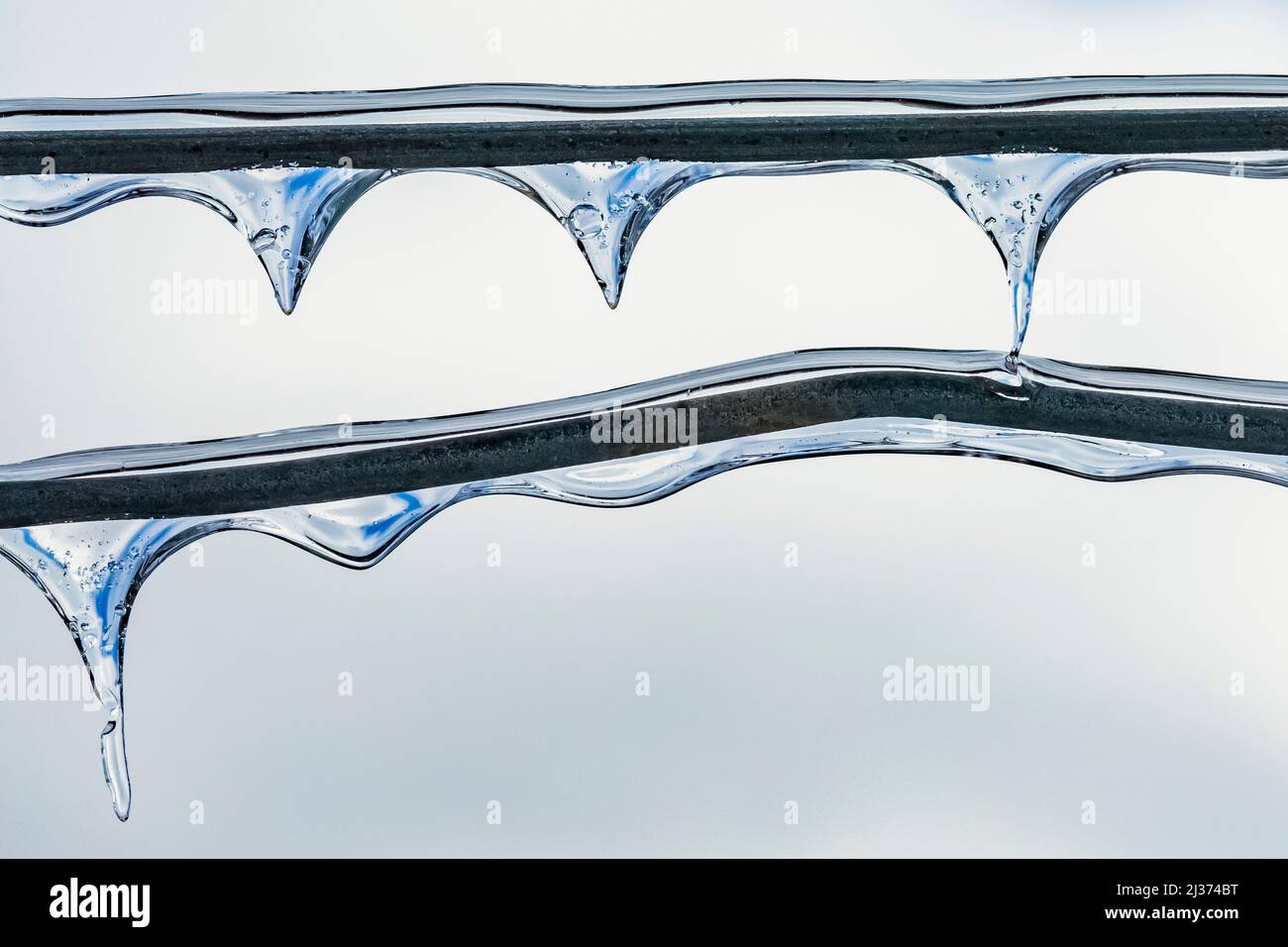 Wire fence encased in ice and dripping with icicles after an ice storm ...