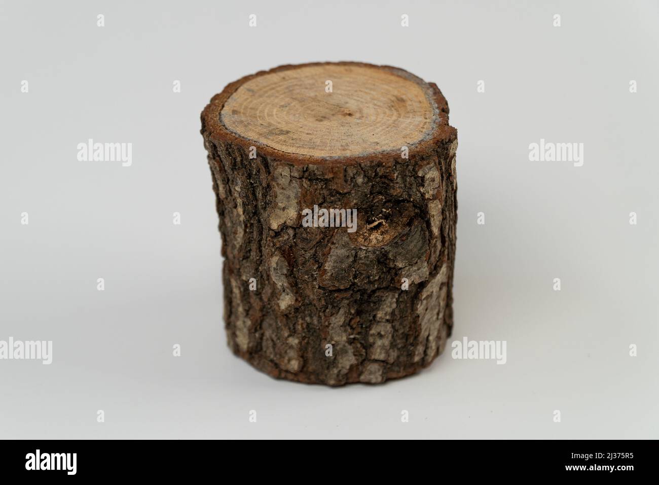 Tree stump, cut tree bough isolated on white background, wooden stump ...