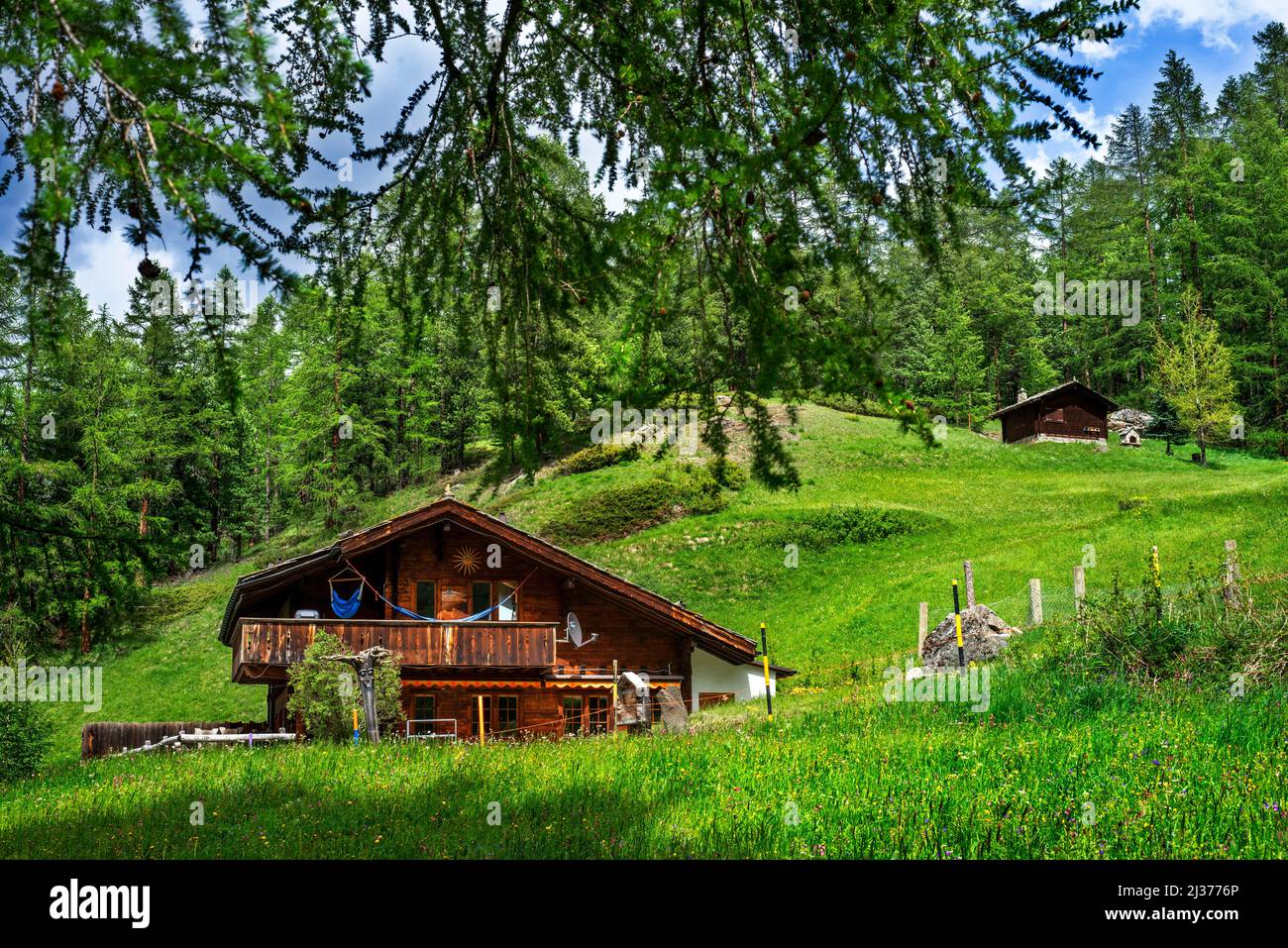 Green valley in the chami-hitta way and moss trail from Riffelalp train ...