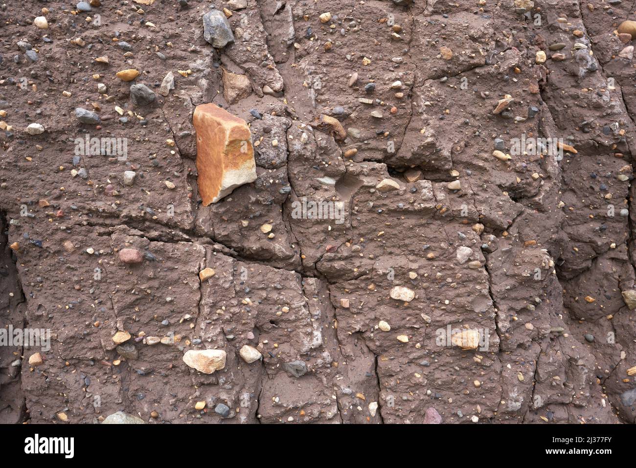 Stones embedded in a clay cliff face Stock Photo - Alamy