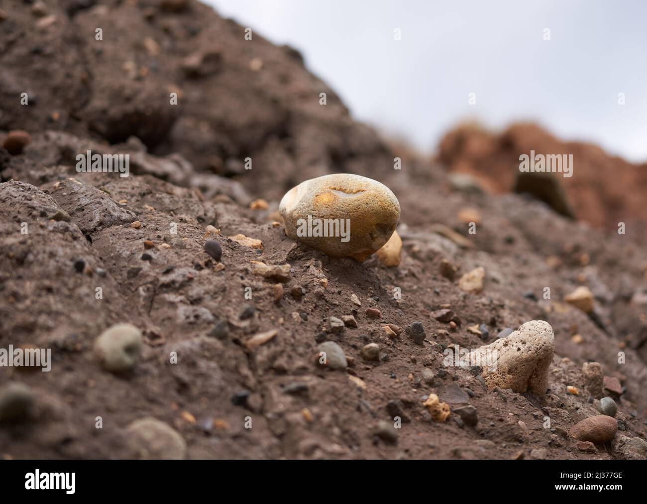 Stones embedded in a clay cliff face Stock Photo - Alamy