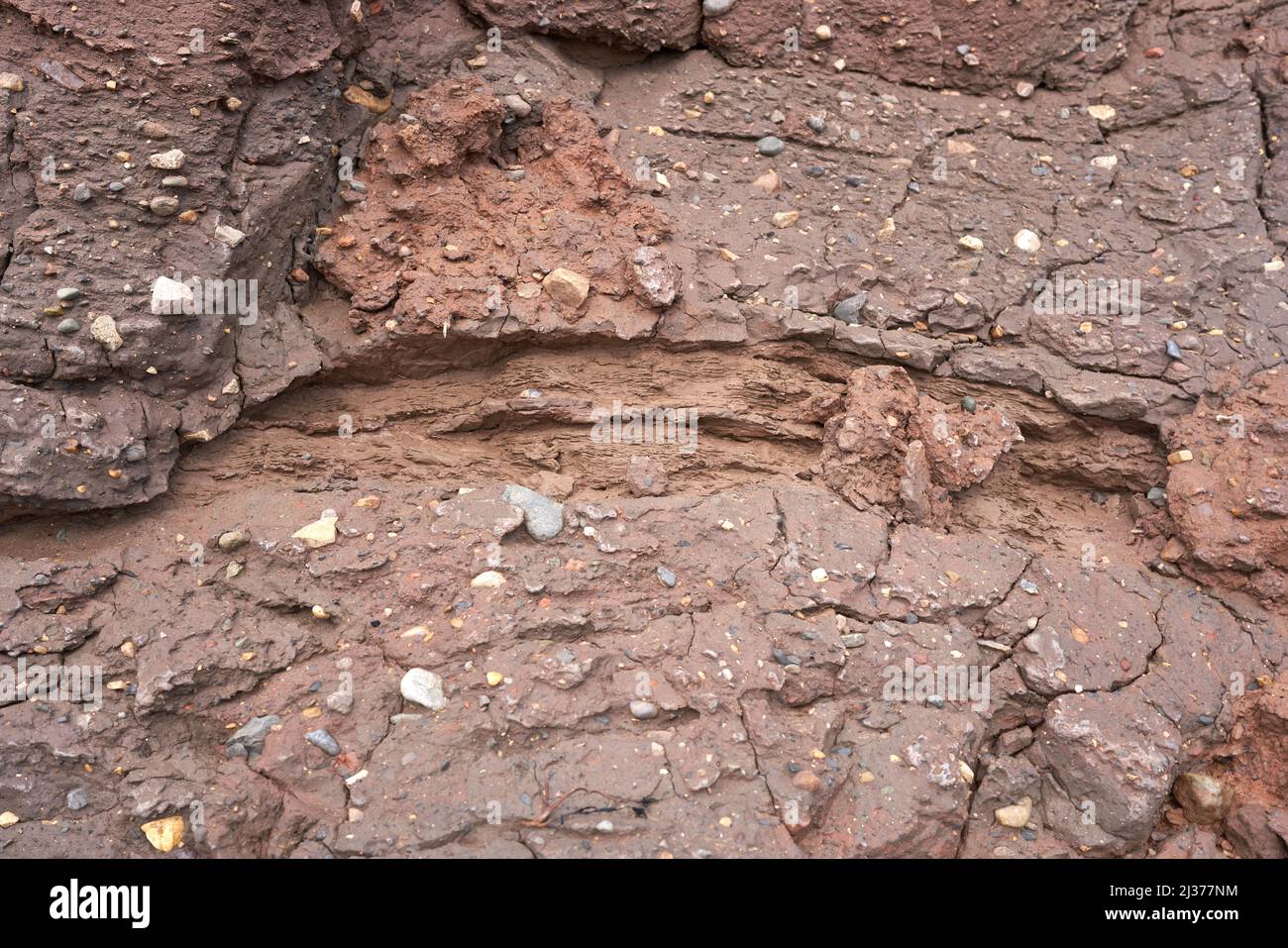 Stones embedded in a clay cliff face Stock Photo - Alamy