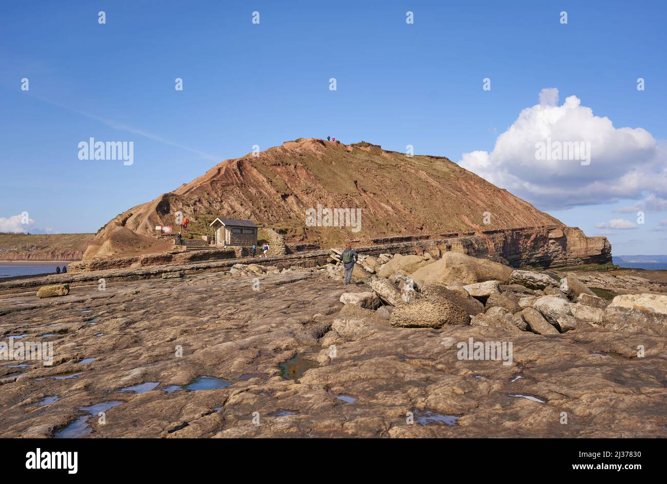 Headland at Filey Brigg, East Yorkshire, UK Stock Photo - Alamy