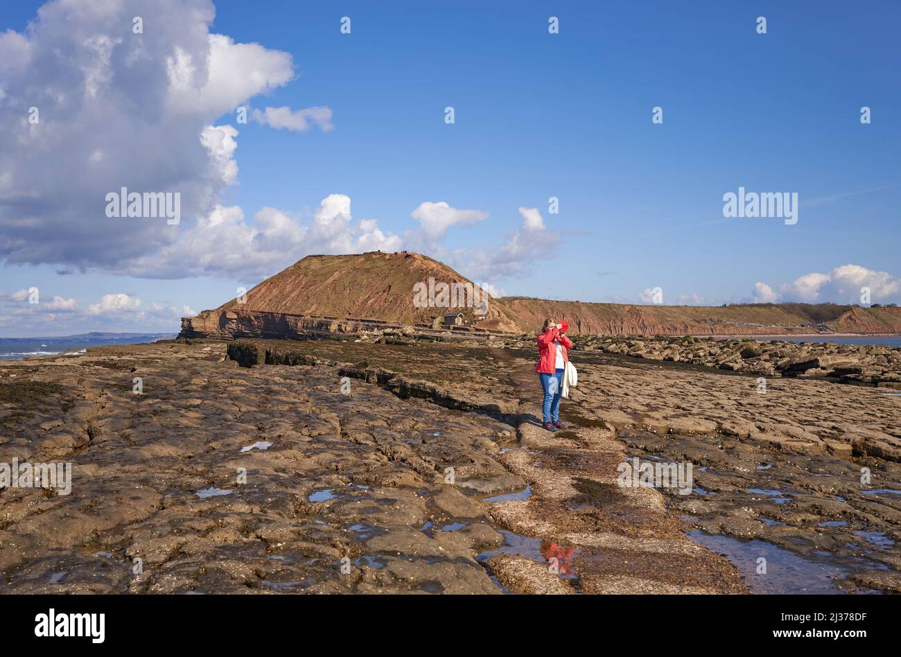 Headland at Filey Brigg, East Yorkshire, UK Stock Photo - Alamy