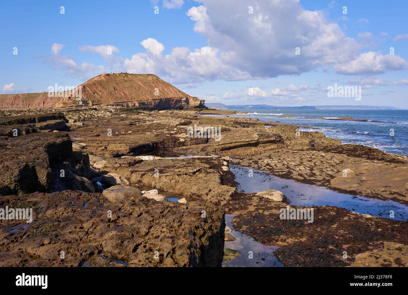 Exposed rocky reef at low tide at Filey Brigg, Yorkshire, UK Stock ...